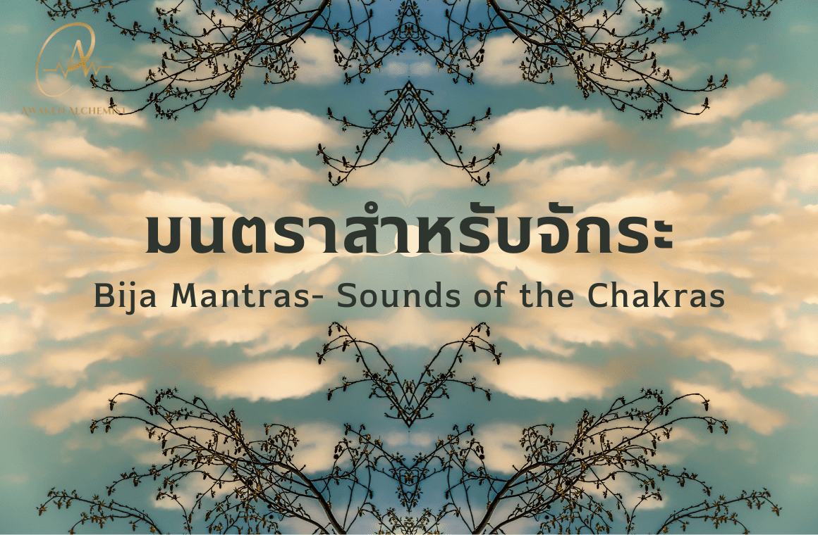 Bija Mantras เสียงของจักระ – Awaken Alchemist