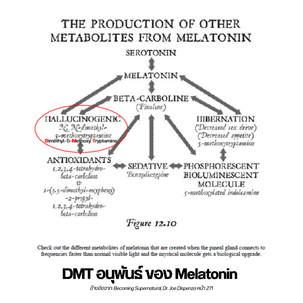 Quantum DMT Breathwork เทคนิคการฝึกหายใจที่จะเปลี่ยนชีวิตคุณไปตลอดกาล ...